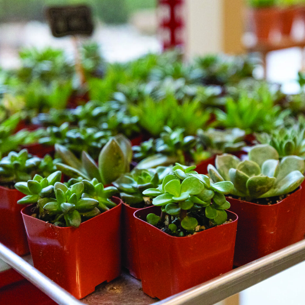 The Hot Spot Studios Franchise | Pottery Candle Making Business